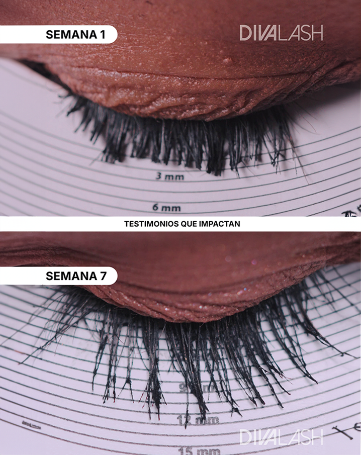 Divalash – Divaskin